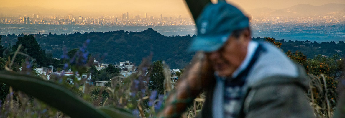 Galería « Milpa Alta: Entre magueyales y tradiciones » - Centro de ...